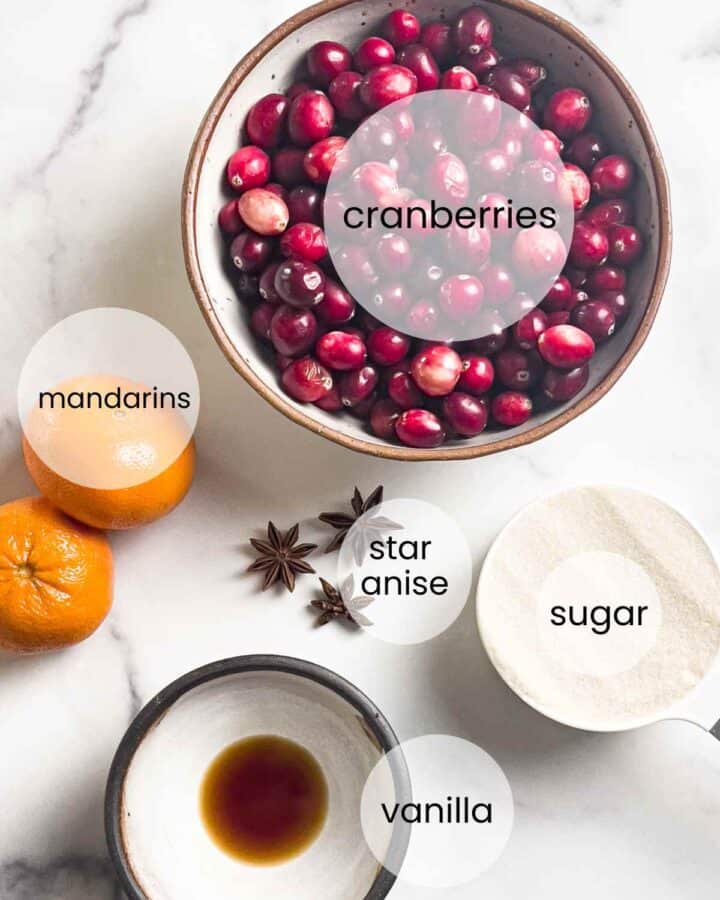 Quick + Easy Make Ahead Cranberry Orange Relish - The Virtual Caterer